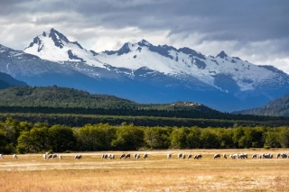 Pasajes y vuelos baratos desde Santiago a Balmaceda-Coyhaique | LATAM
