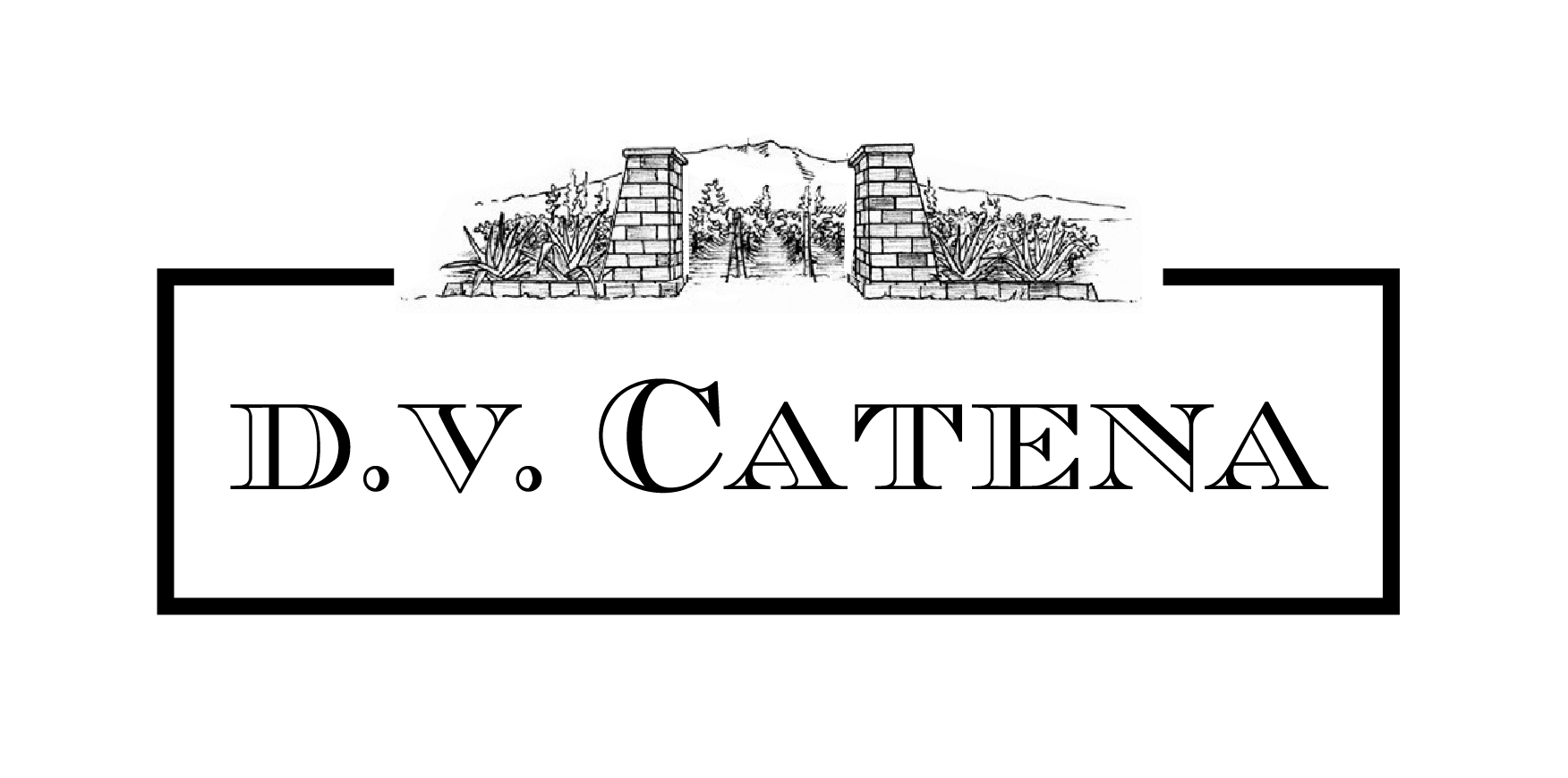 Vineyards | LATAM Airlines