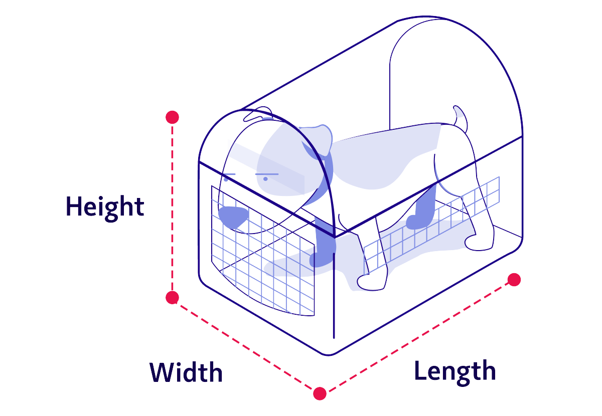 Pets in the cabin | LATAM Airlines