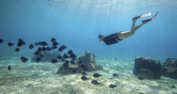 7 veces México junto al mar: lo mejor del país | LATAM Airlines