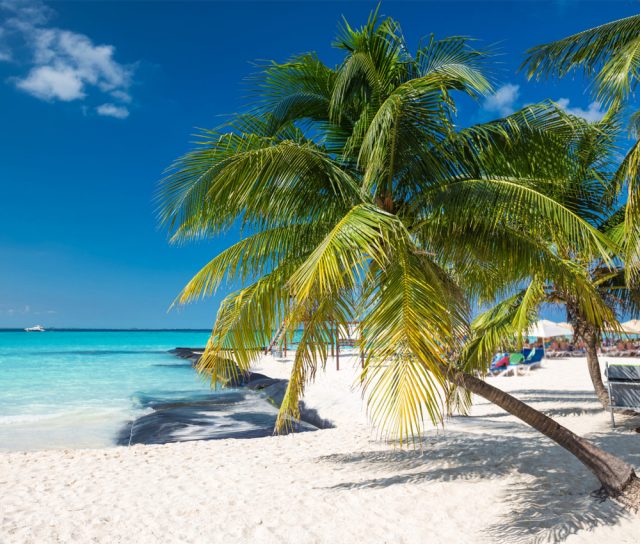Todo lo que necesitas saber de Aruba: el paraíso tropical con clima ...