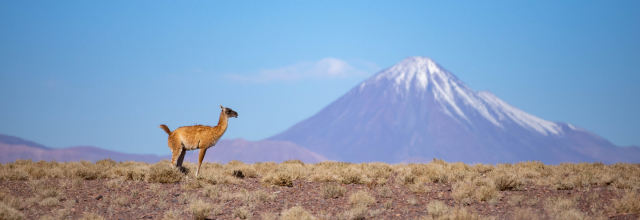 48 horas em Santiago do Chile: descubra a essência da cidade em uma ...