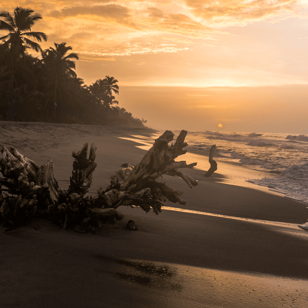 Discover the Enchanting Paradise of Riohacha | LATAM Airlines