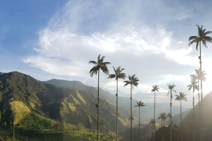 4 experiências para entrar em contato com a natureza de Pereira | LATAM ...