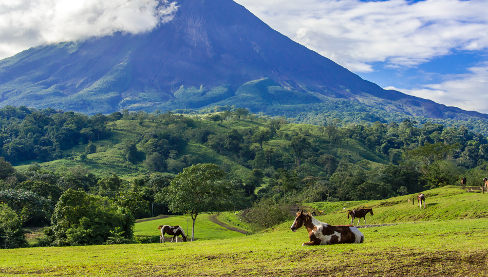 La naturaleza palpitante en el norte de Costa Rica | LATAM Airlines