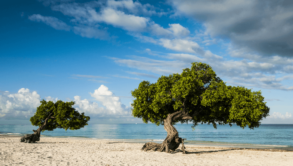 ¡Una nueva ruta a Aruba, “la isla feliz”! | LATAM Airlines