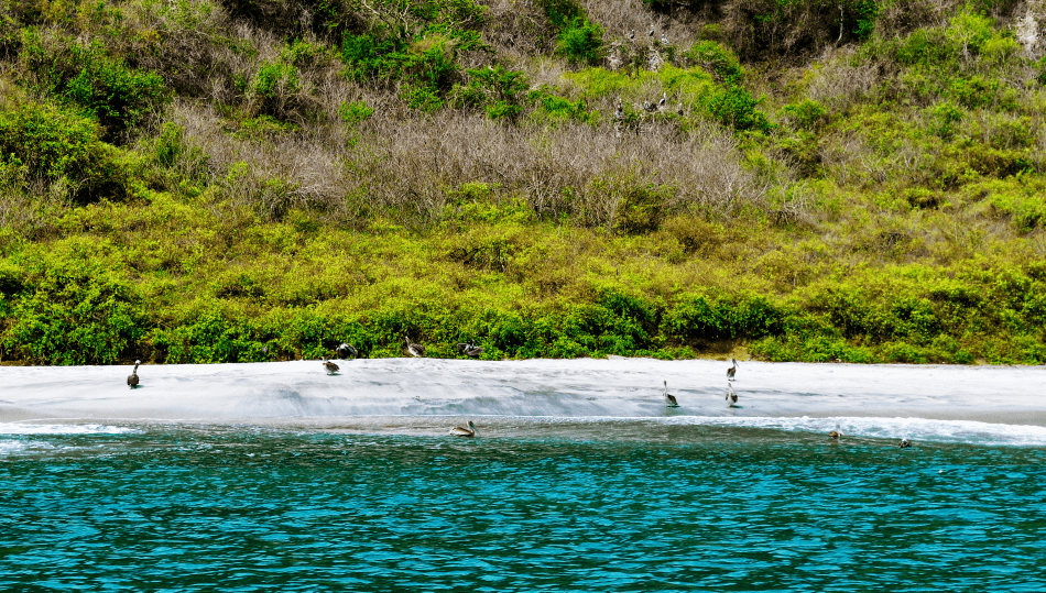 5 ciudades costeras: lo mejor de Ecuador | LATAM Airlines