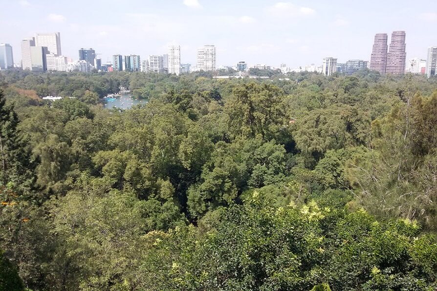 Ciudad de México: Descubre todo lo imperdible | LATAM Airlines