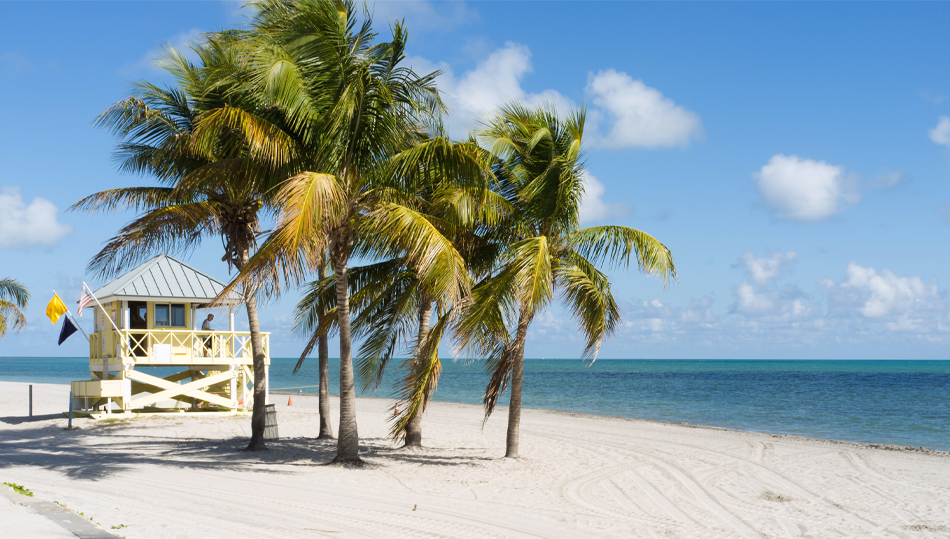 Top 5 das praias mais incríveis de Miami | LATAM Airlines